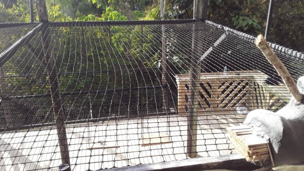 Crea un nuevo espacio de descanso, instala una malla catamarán | Mi Soporte